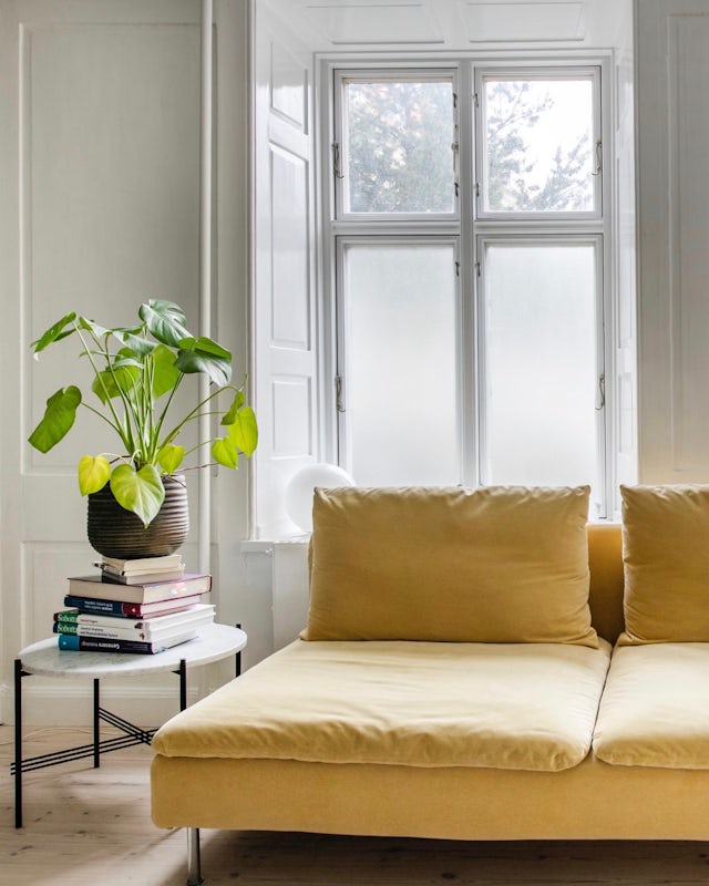 Mustard, The New Must-Have Colour | Plum Guide