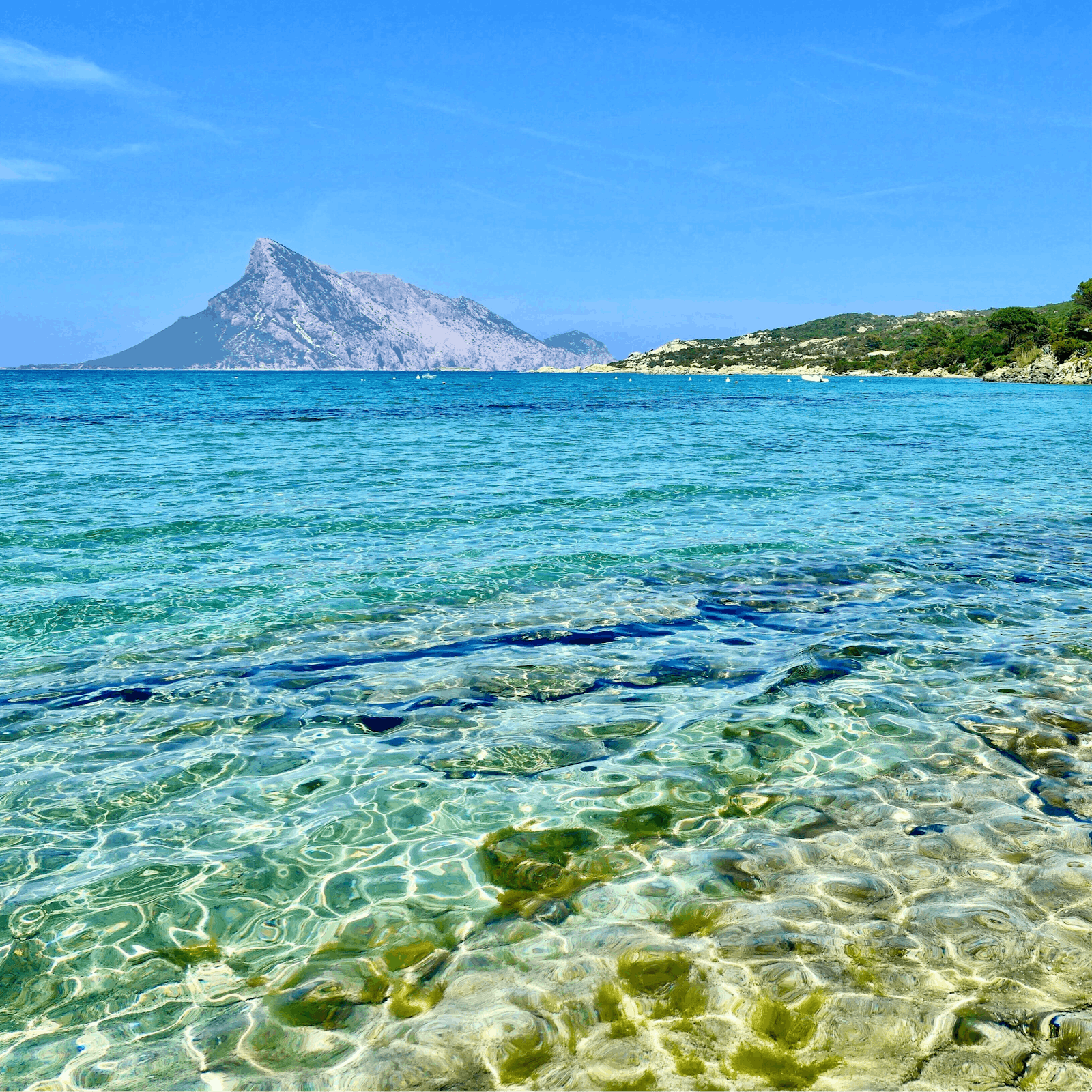 Paradise in Pittulongu, Sardinia, Italy | Plum Guide