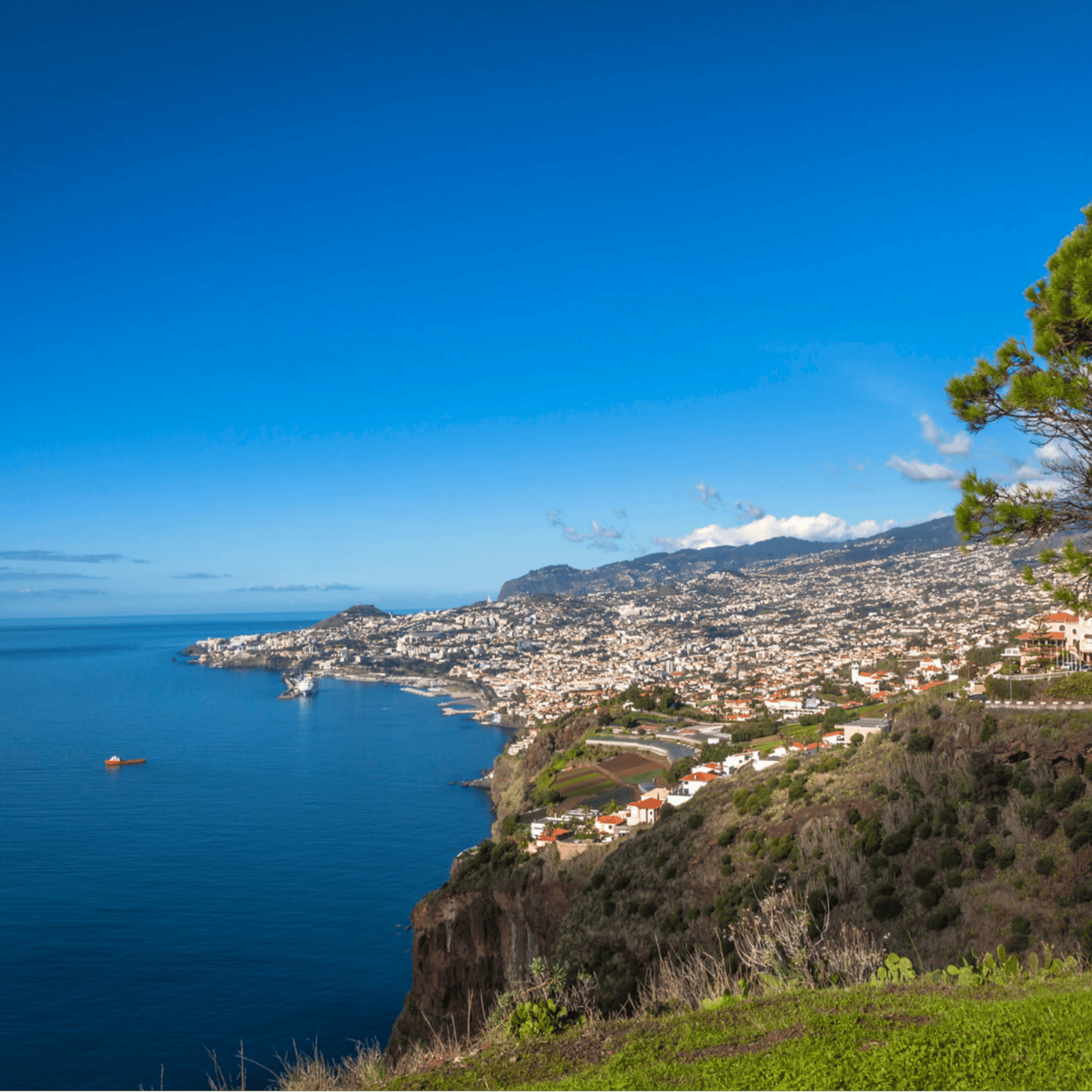 Magical Madeiran Dream, Madeira, Portugal | Plum Guide