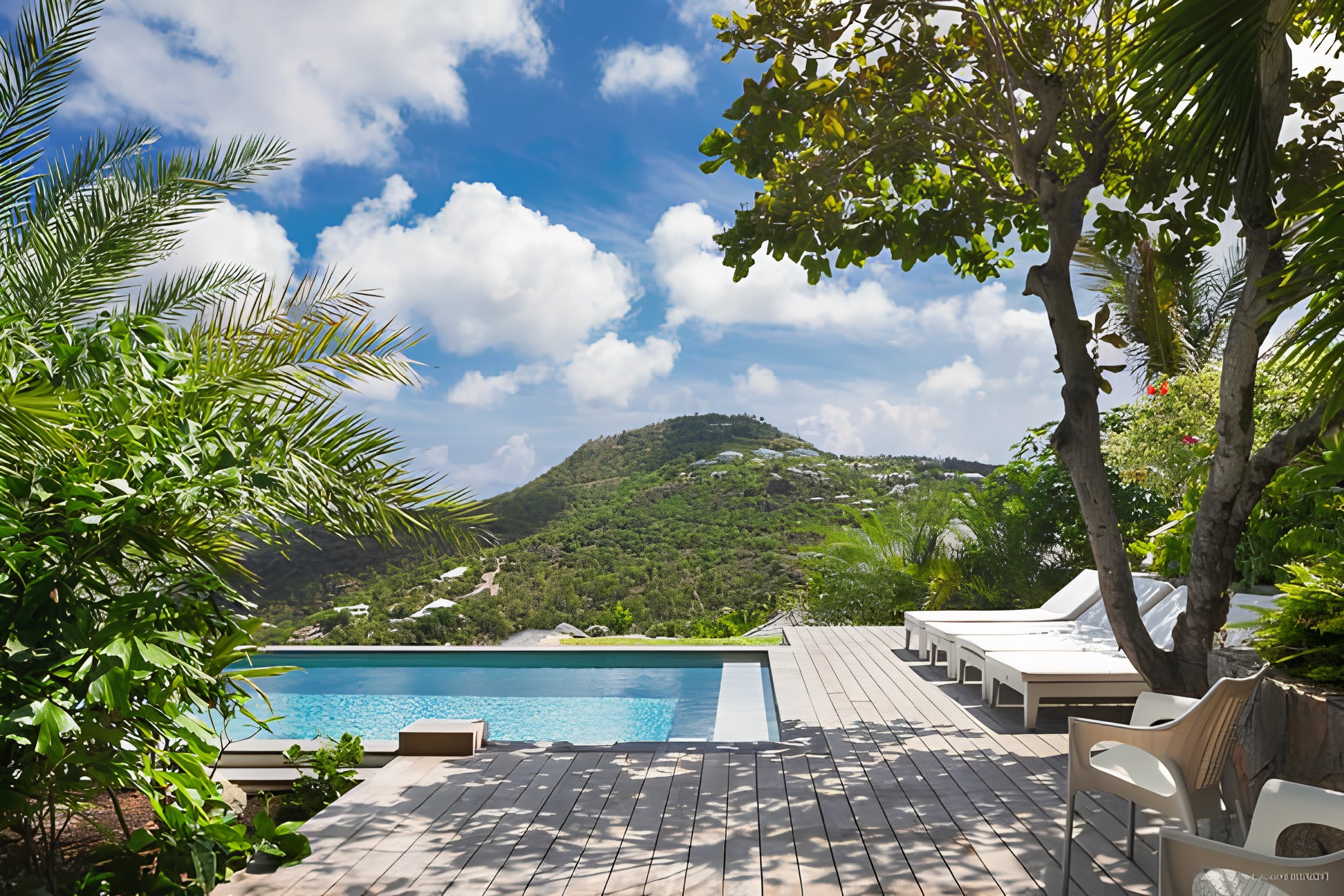 Palm Tree Believer, Gustavia, Saint Barthélemy | Plum Guide