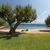 Elemental Colour, Lasithi, Greece | Plum Guide